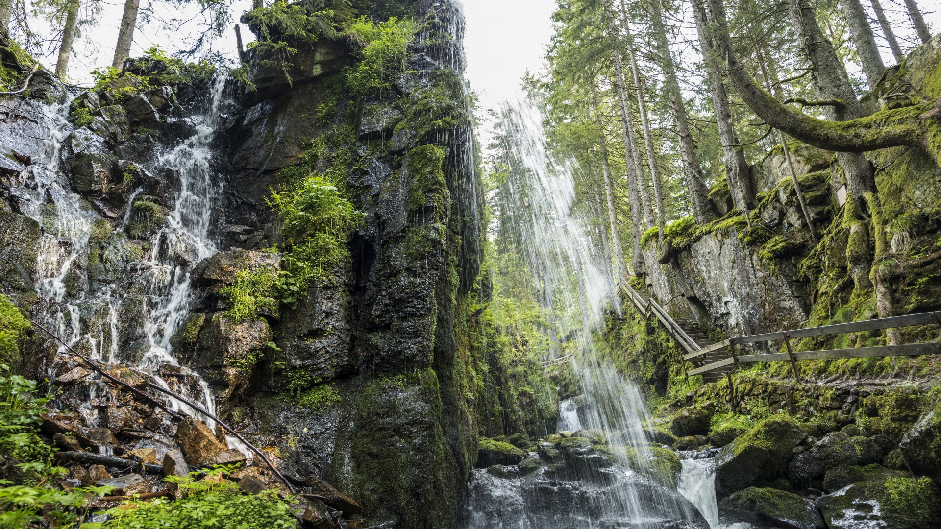 Naturparadies: Biosphärengebiet Schwarzwald - Germany Travel